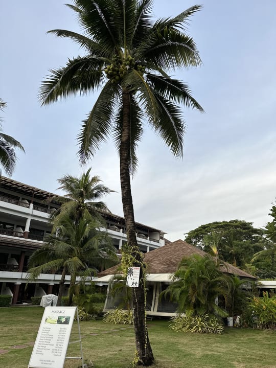 "Ausblick" Sunprime Kamala Beach (Kamala) • HolidayCheck (Phuket ...