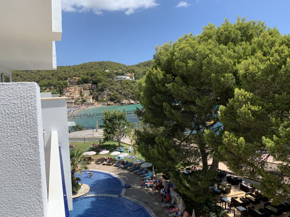 "Strand" Alua Gran Camp de Mar (Camp de Mar) • HolidayCheck (Mallorca ...