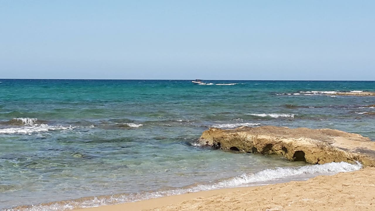 "Strand " Hotel Malia Bay Beach Hotel & Bungalows (Malia ...