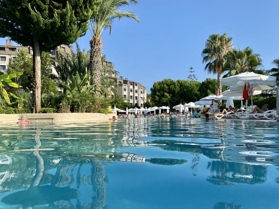 "Pool" PALOMA Perissia (Side - Kumköy) • HolidayCheck (Türkische ...