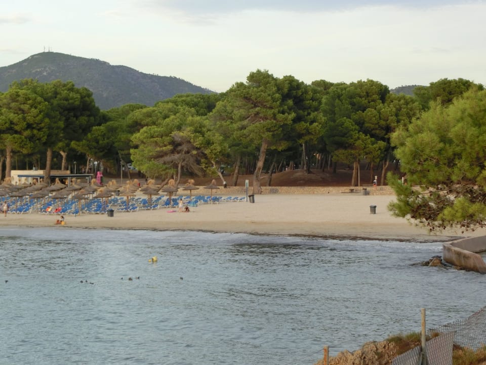 "Strand in Santa Ponsa" Hotel Playas del Rey (Santa Ponça / Santa Ponsa ...