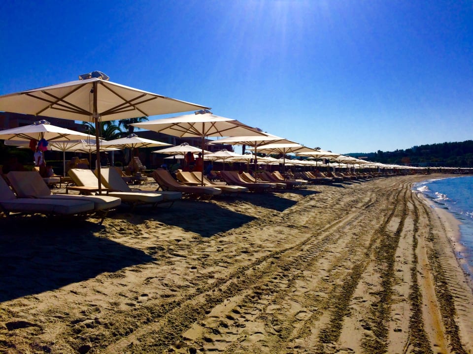 "Strand" Sani Beach (Cap Sani) • HolidayCheck (Chalkidiki | Griechenland)