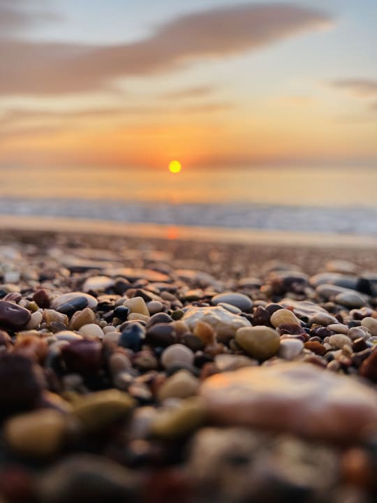 "Strand" Blue Sea Beach Resort (Faliraki) • HolidayCheck (Rhodos ...