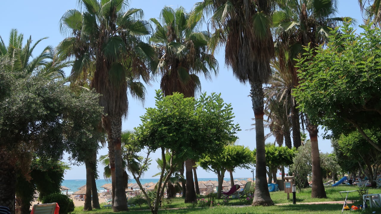 "Gartenanlage" Hotel Defne Garden (Side - Kumköy) • HolidayCheck ...