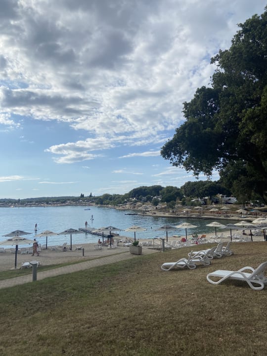 "Strand" FKK Valalta (Rovinj) • HolidayCheck (Istrien | Kroatien)