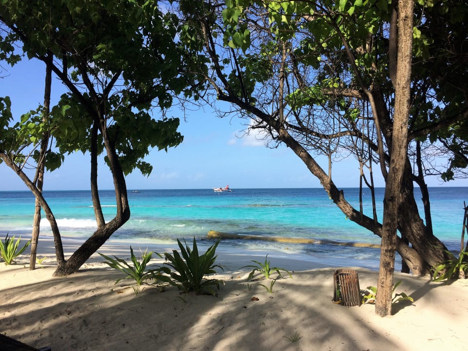 "Strand" Reethi Beach Resort (Dharavandhoo) • HolidayCheck (Baa Atoll ...