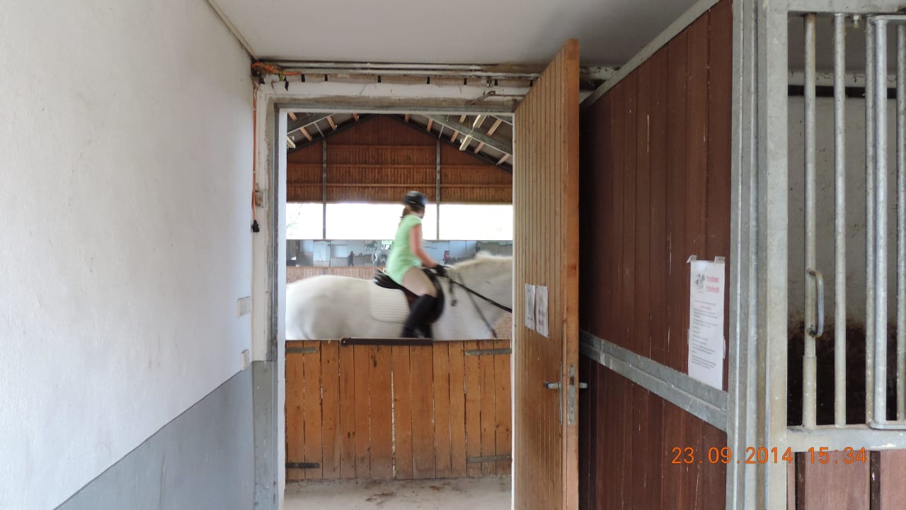 "Reitstall" Familienhotel Reiterhof Runding (Runding) • HolidayCheck ...