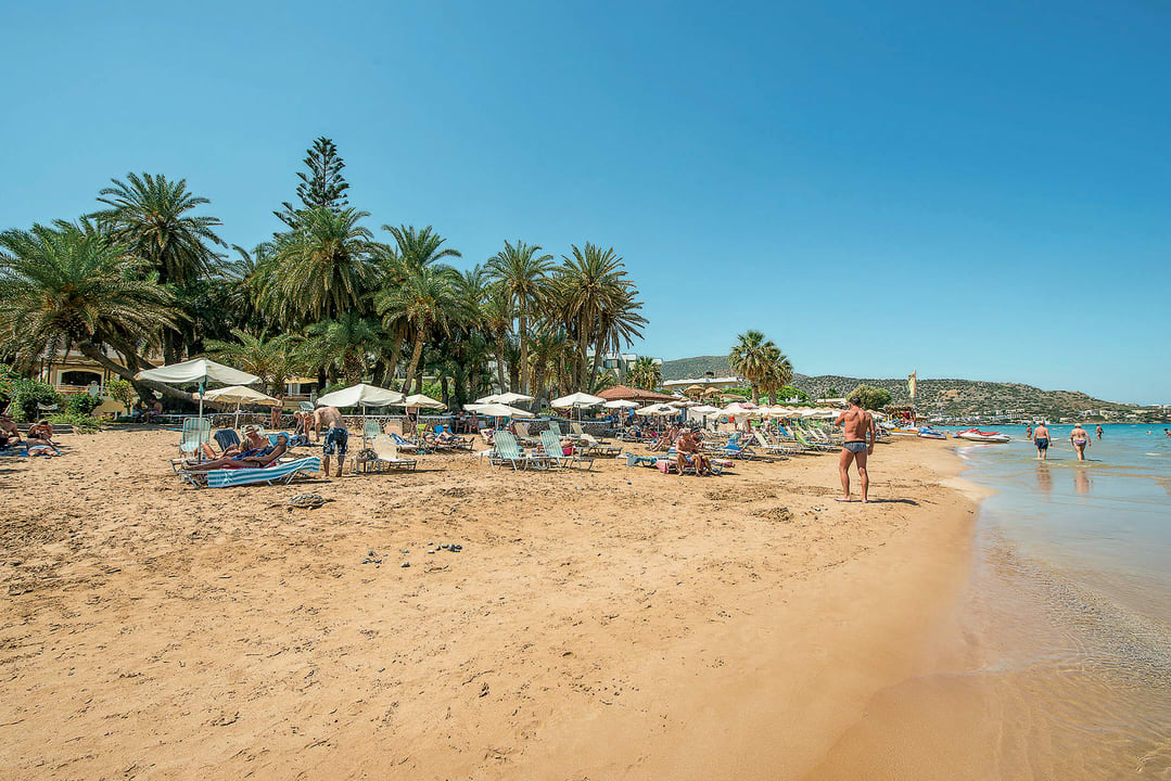 "Strand" Palm Beach Hotel (Stalis) • HolidayCheck (Kreta | Griechenland)