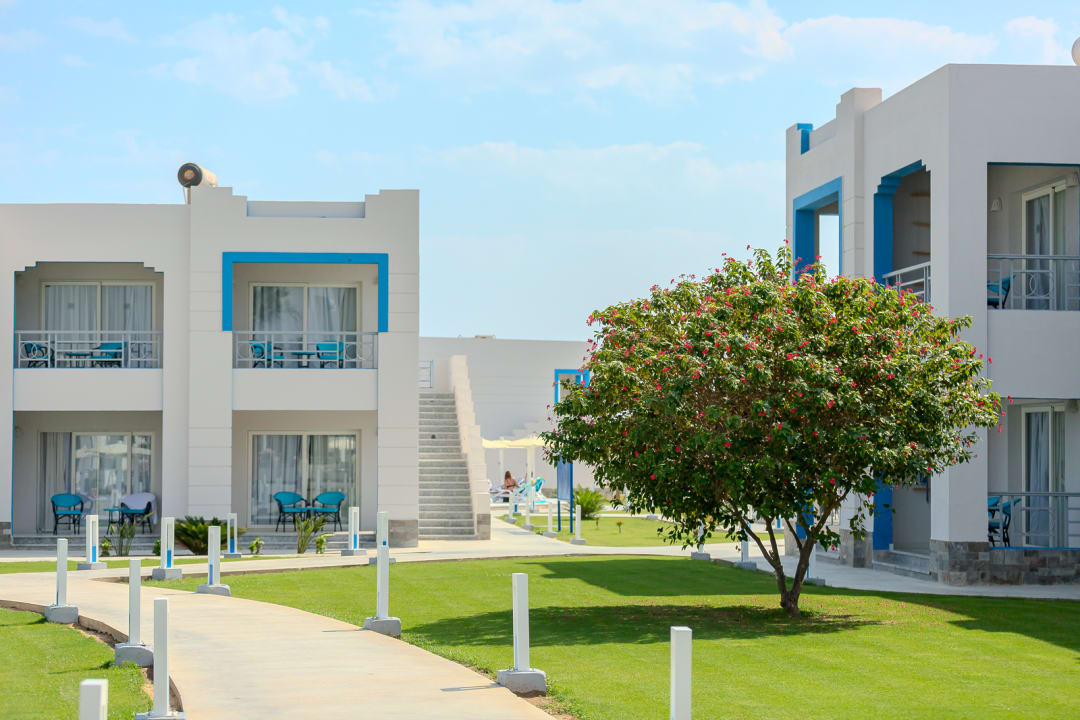 "Gartenanlage" Casa Blue Resort (Marsa Alam) • HolidayCheck (Marsa Alam ...