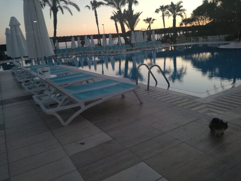 "Pool" Hotel Sandy Beach (Side) • HolidayCheck (Türkische Riviera | Türkei)