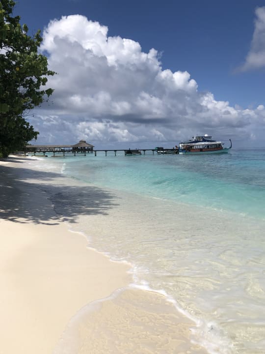 "Strand" Reethi Beach Resort (Dharavandhoo) • HolidayCheck (Baa Atoll ...