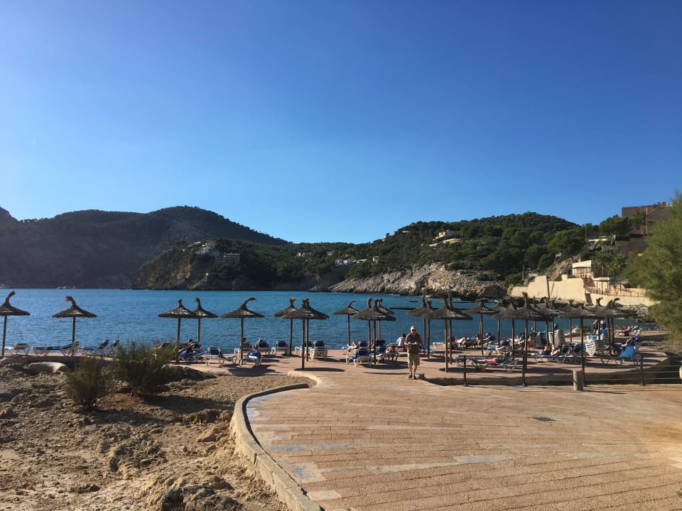 "Außenansicht" Alua Gran Camp de Mar (Camp de Mar) • HolidayCheck ...