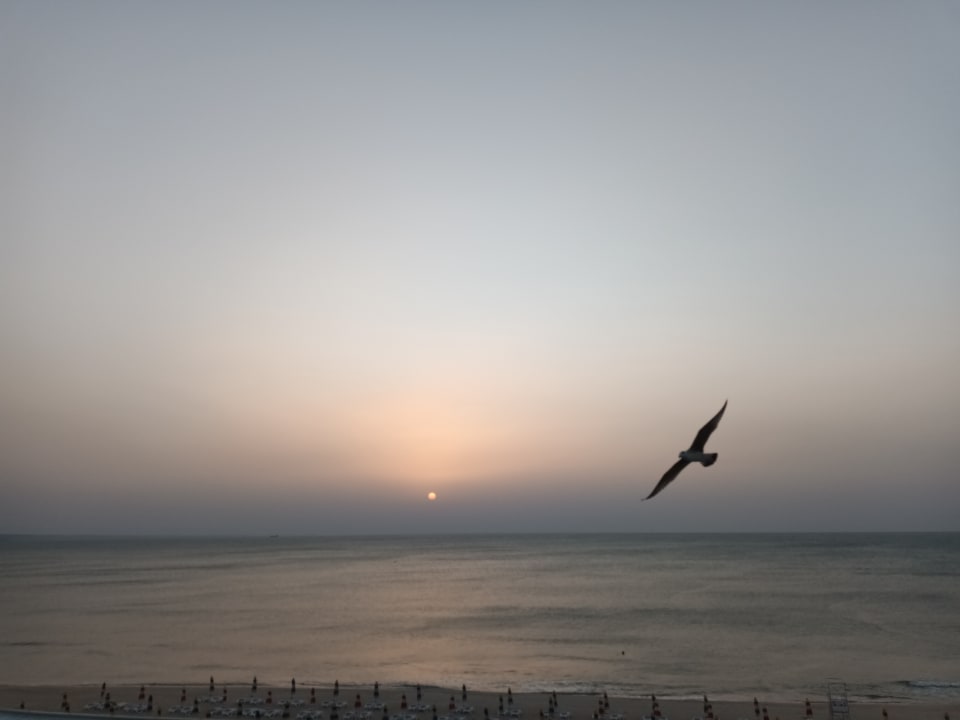 "Ausblick" Hotel Gergana (Albena) • HolidayCheck (Bulgarien Norden ...