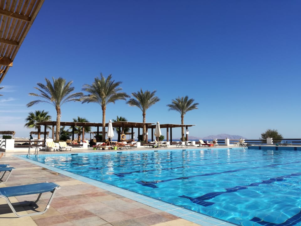"Pool" Sharm Club Beach Resort (Sharm el Sheikh) • HolidayCheck (Sharm ...