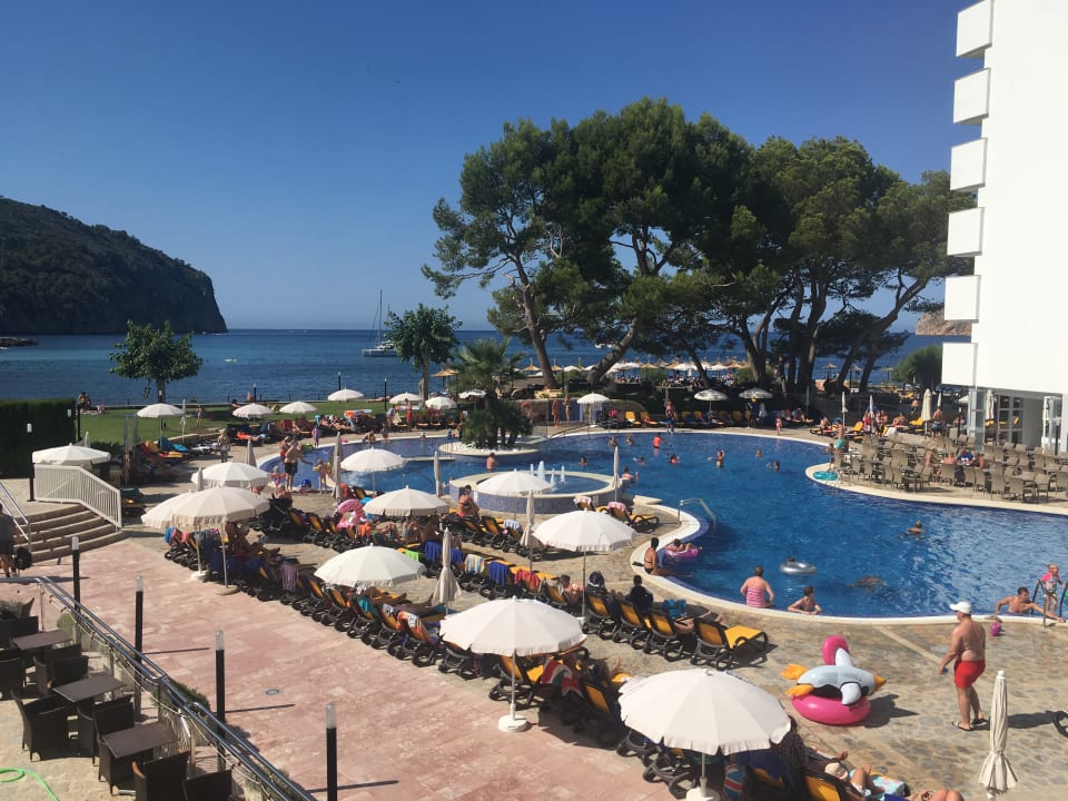 "Pool" Alua Gran Camp de Mar (Camp de Mar) • HolidayCheck (Mallorca ...