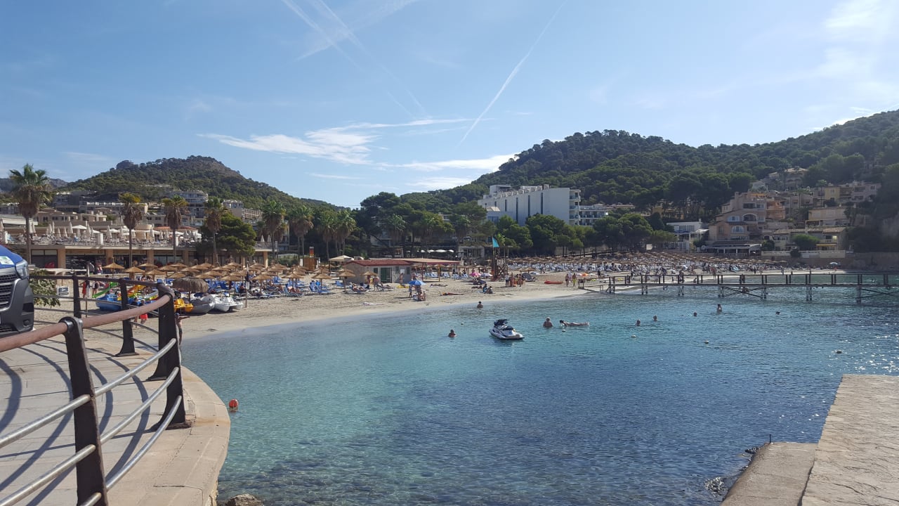 "Strand" Alua Gran Camp de Mar (Camp de Mar) • HolidayCheck (Mallorca ...