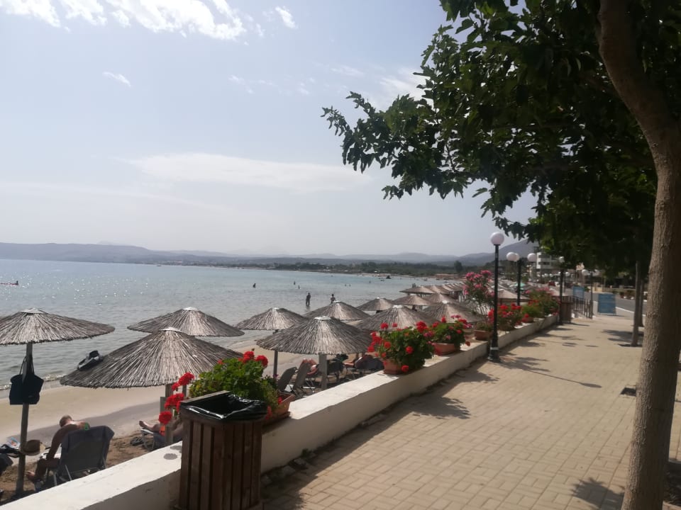 "Strand" Corissia Beach Hotel (Georgioupolis) • HolidayCheck (Kreta ...