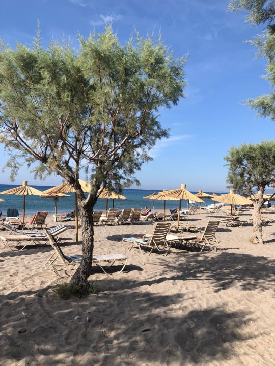 "Strand" Sun Beach Lindos Hotel (Lardos) • HolidayCheck (Rhodos ...