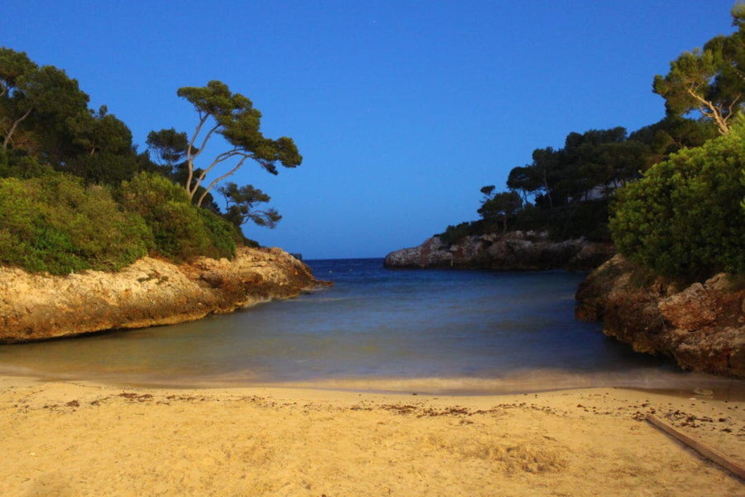  Nachtafnahme Strand Cala PrimaSol Cala D Or Gardens Cala D Or