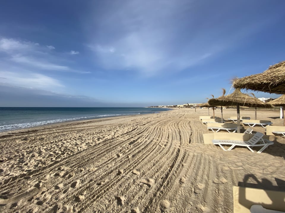 "Strand" TUI BLUE Manar (Hammamet) • HolidayCheck (Großraum Monastir ...