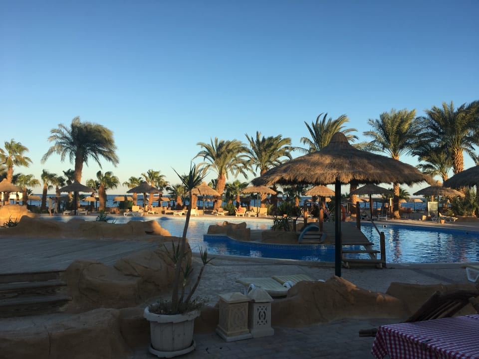 "Pool" Lotus Bay Beach Resort (Abu Soma) • HolidayCheck (Hurghada ...