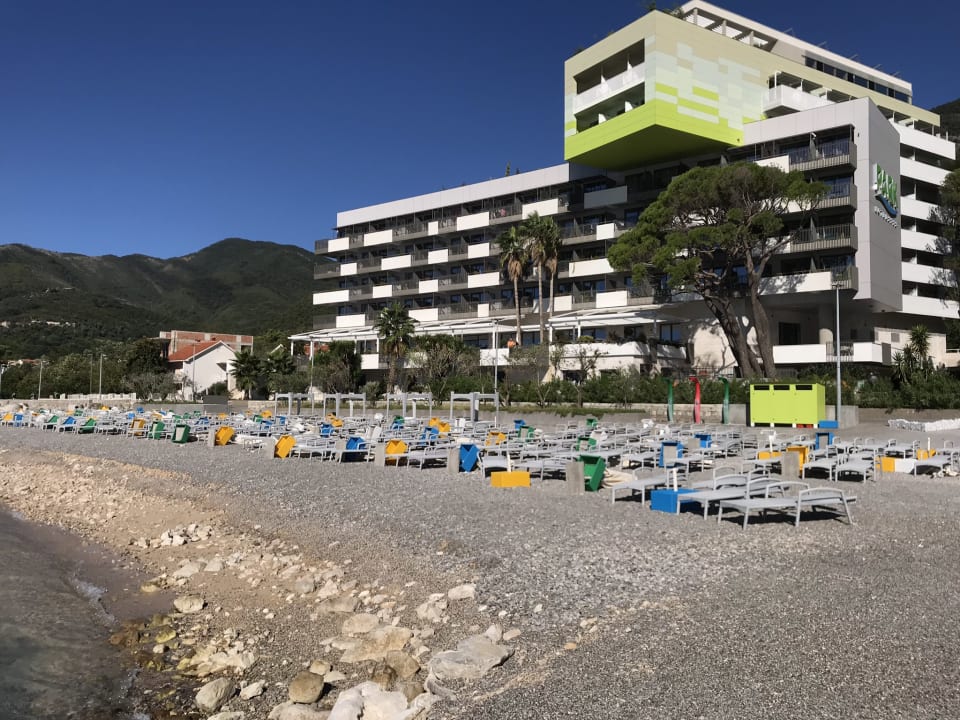 "Strand" Carine Hotel Bijela Park (Bijela) • HolidayCheck (Primorski ...