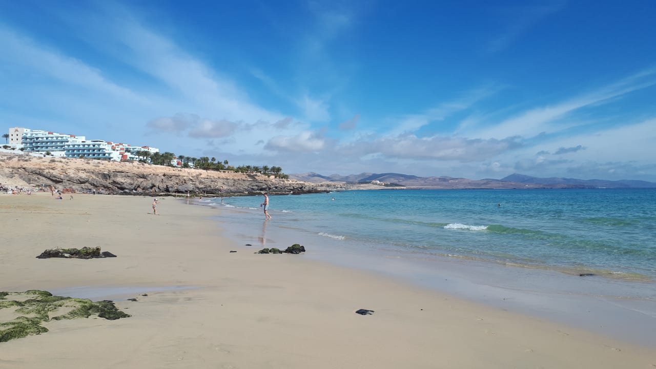 "Strand" SBH Hotel Costa Calma Palace (Costa Calma) • HolidayCheck ...