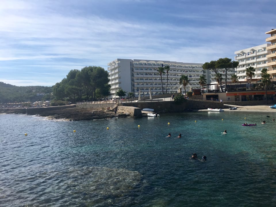"Strand" Alua Gran Camp de Mar (Camp de Mar) • HolidayCheck (Mallorca ...