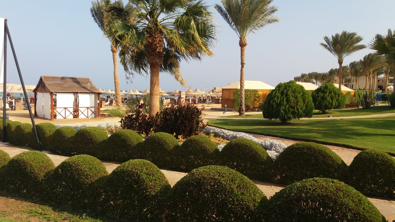 "Strand" Jaz Dar EL Madina (Marsa Alam) • HolidayCheck (Marsa Alam/El ...