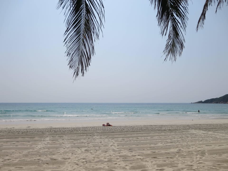 "Haad Rin Beach" Palita Lodge (Ban Tai) • HolidayCheck (Koh Phangan ...