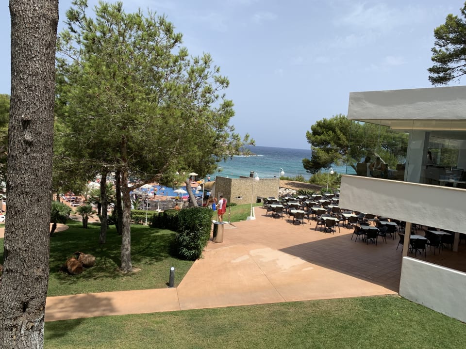 "Garten" AluaSoul Carolina - Adults Only (Capdepera) • HolidayCheck ...