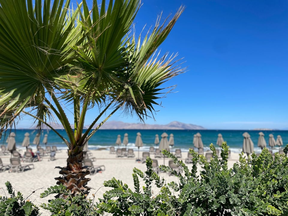 "Strand" Hotel Horizon Beach Resort (Mastichari) • HolidayCheck (Kos ...