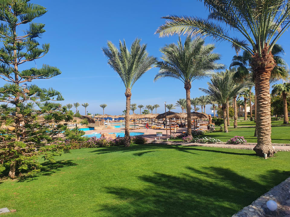 "Gastro" Three Corners Sea Beach Resort (Marsa Alam) • HolidayCheck ...