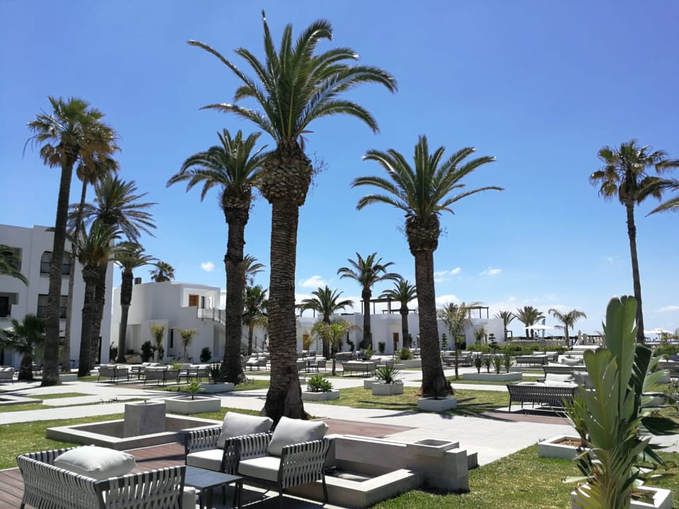 "Außenansicht" The Orangers Garden Villas & Bungalows (Hammamet ...