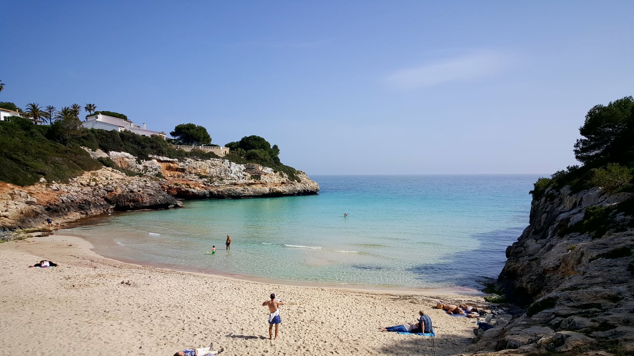 "Strand" Insotel Club Cala Mandia (Cala Mandia) • HolidayCheck ...