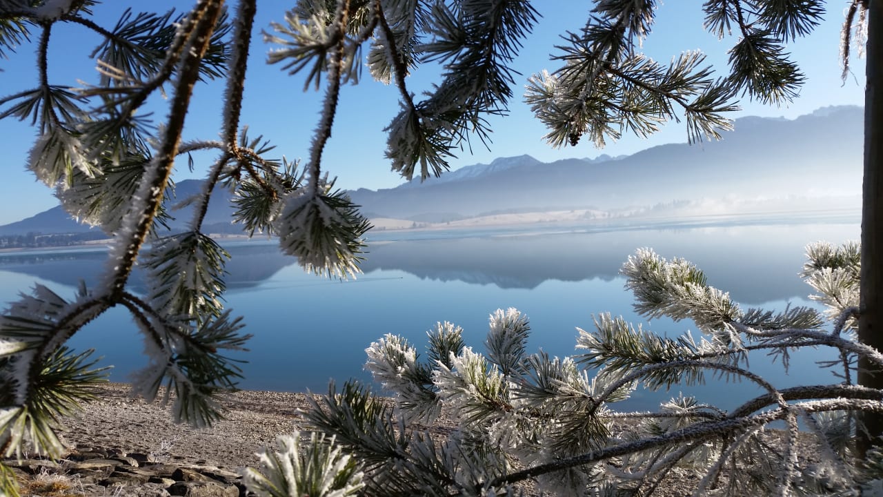 "Forggensee im Winter" Ferienhof Haug (Rieden am Forggensee ...