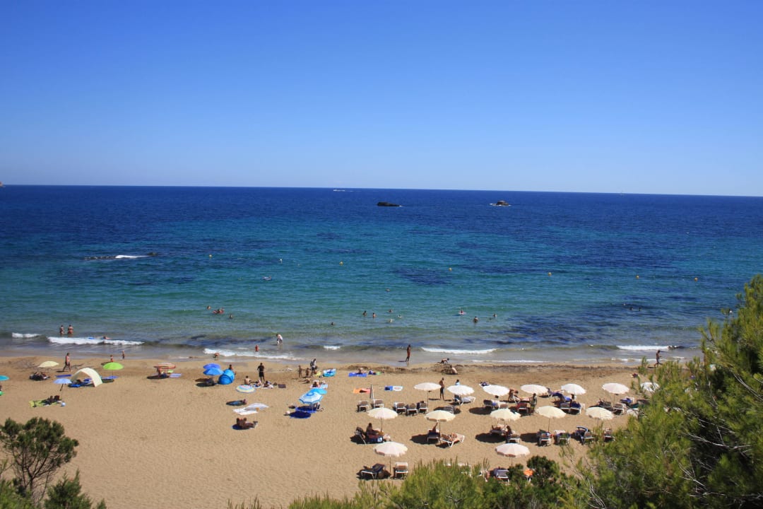 "Plaża" Sentido Cala Verde (Playa Des Figueral) • HolidayCheck (Ibiza ...