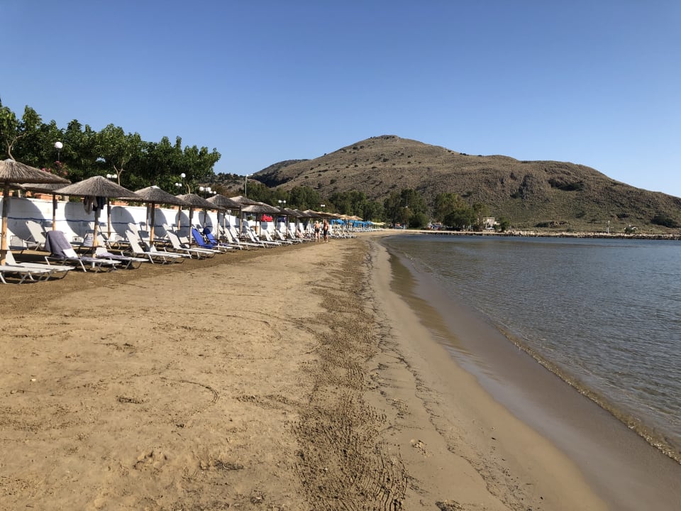 "Strand" Corissia Beach Hotel (Georgioupolis) • HolidayCheck (Kreta ...