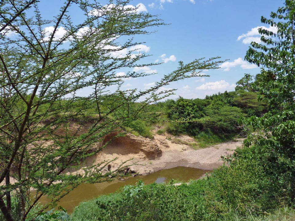 "Blick auf den Talek River..." Hotel Tipilikwani Camp (Maasai Mara ...