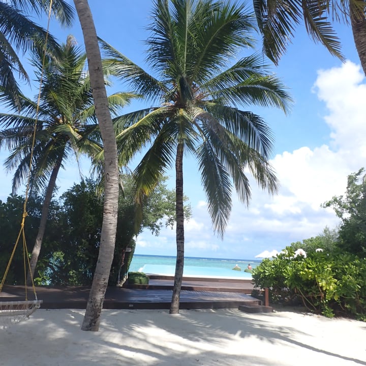 "Strand" Summer Island Maldives (Gaafaru) • HolidayCheck (Kaafu Atoll ...