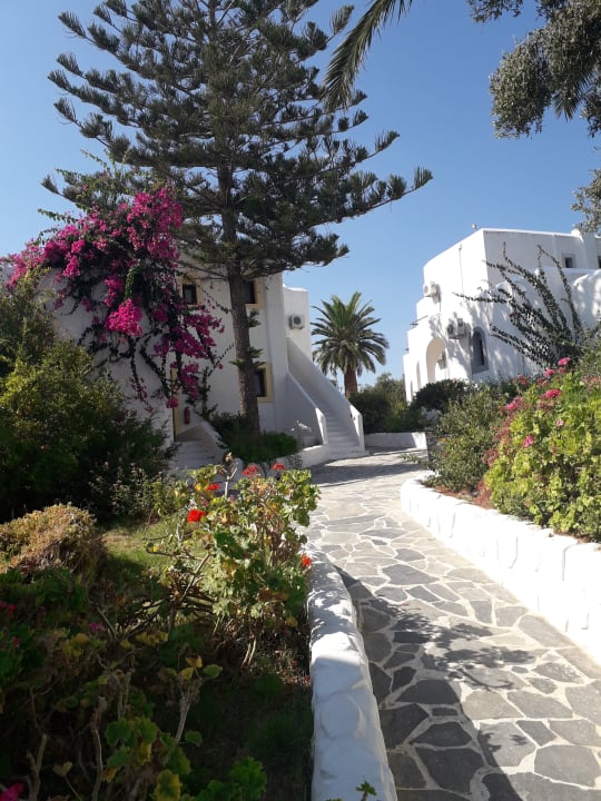"Außenansicht" Hersonissos Village Hotel & Bungalows (Anissaras ...