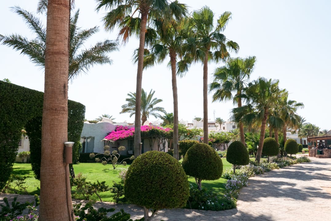 "Gartenanlage" LABRANDA Sharm Club (Sharm el Sheikh) • HolidayCheck ...