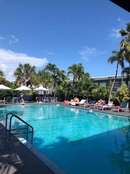 "Pool" Motel Blue Marlin (Key West) • HolidayCheck (Florida | USA)