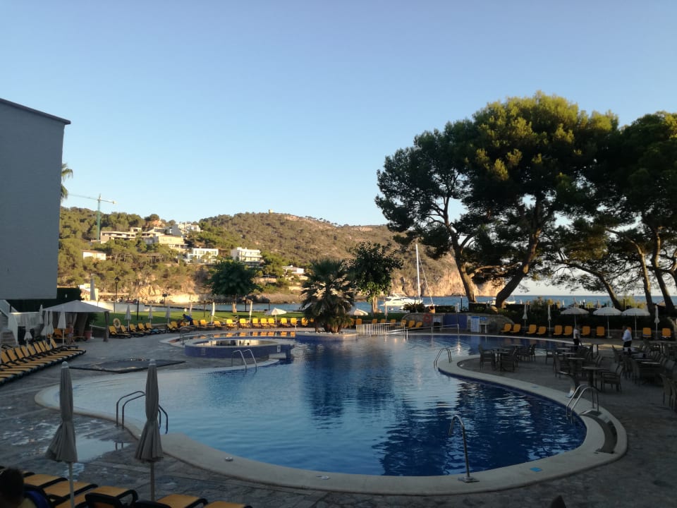 "Pool" Alua Gran Camp de Mar (Camp de Mar) • HolidayCheck (Mallorca ...