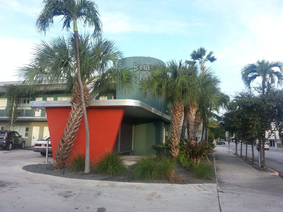 "Einfahrt" Motel Blue Marlin (Key West) • HolidayCheck (Florida | USA)