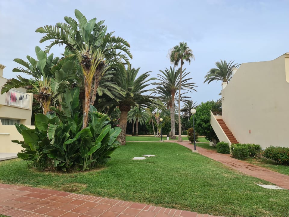 "Außenansicht" TUI KIDS CLUB Riu Oliva Beach (Corralejo) • HolidayCheck ...