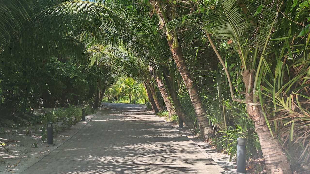 "Gartenanlage" Hotel Riu Palace Maldivas (Kudahuvadhoo) • HolidayCheck ...