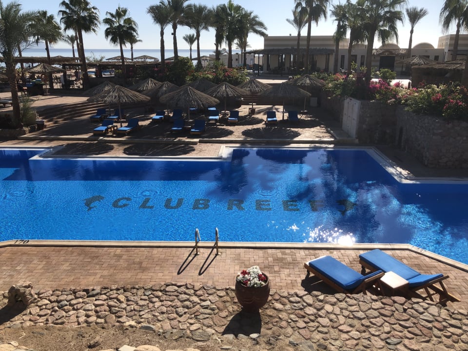 "Ausblick" Club Reef Hotel (Sharm el Sheikh) • HolidayCheck (Sharm el ...