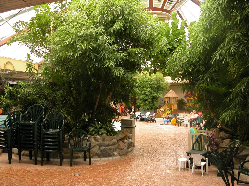 "Badeparadies" Ferienpark Landal Het Vennenbos (Hapert) • HolidayCheck ...