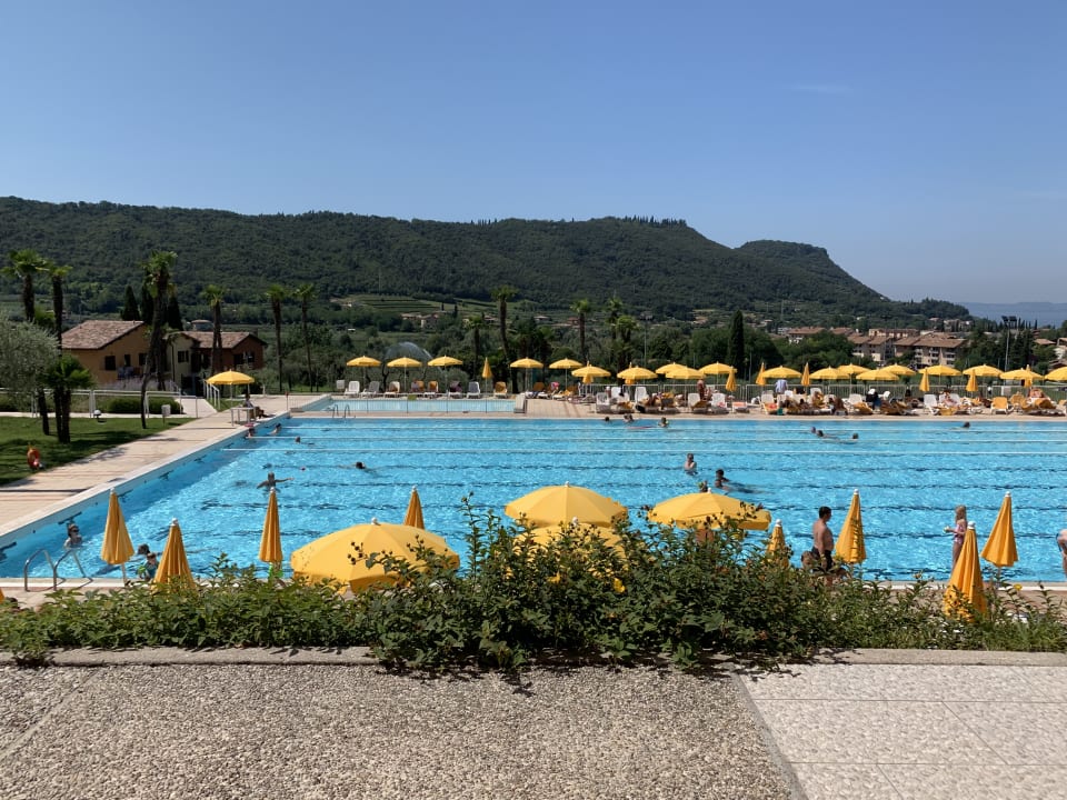 "Pool" Poiano Resort - Hotel (Garda) • HolidayCheck (Venetien | Italien)